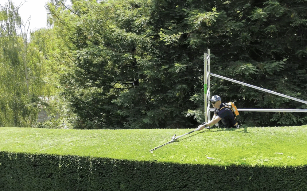 Perfect Hedge Trimming - Content Empire